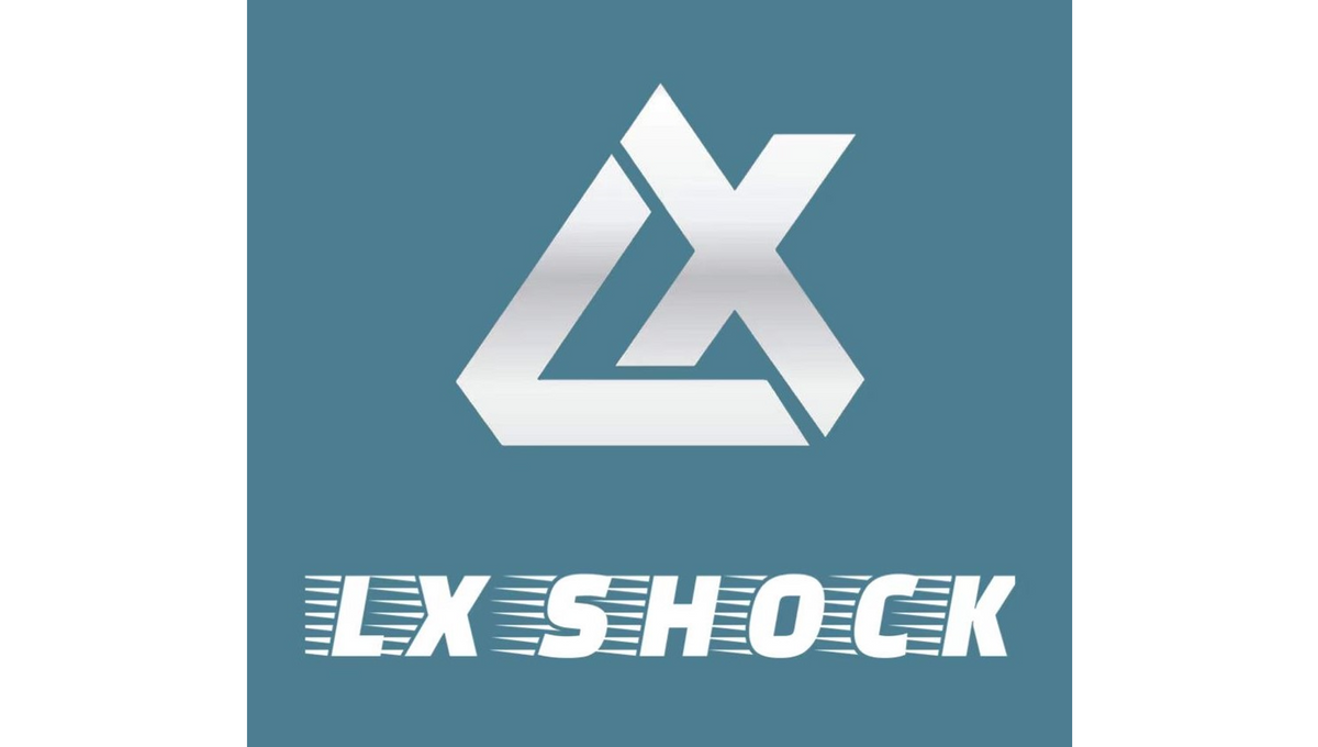 LX - longxue RC bypass shock– LX Shock